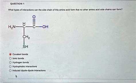 Solved What Types Of Interactions Can The Side Chain Of This Amino Acid Form That No Other