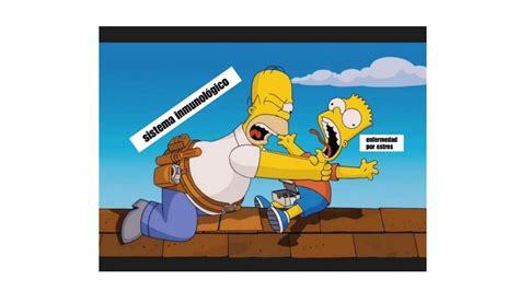 Creatividad Y Humor Para Descubrir La Inmunología