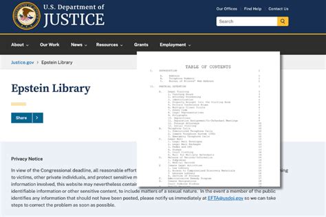 Cara Download Jeffrey Epstein Files Pdf Komplit Dengan Foto And Video