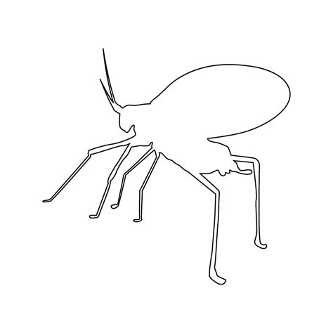 Katydid Grasshopper Icon 46791863 Vector Art At Vecteezy