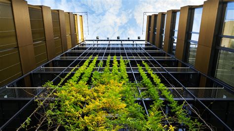 Navigating The Complexities Of Surety Performance Bond Claims In Leed