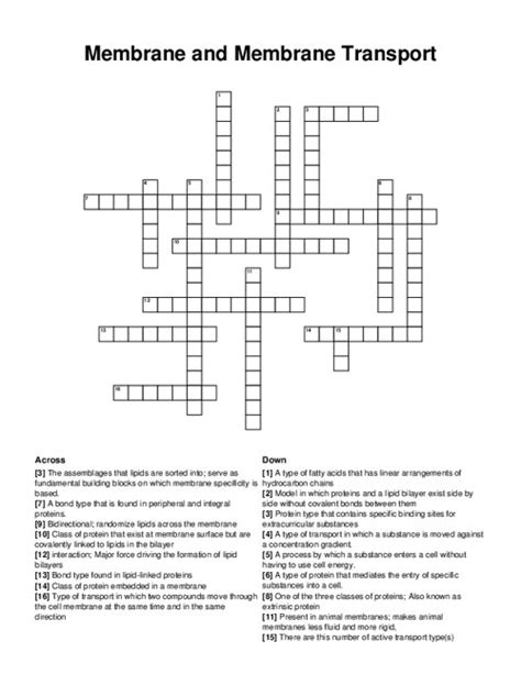 Membrane And Membrane Transport Crossword Puzzle