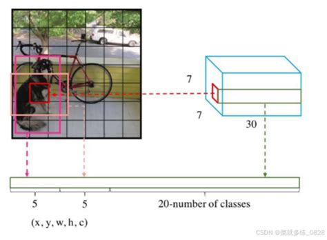 《深度学习》yolo v1网络架构 、损失值、nms极大值抑制 yolov1网络结构 csdn博客