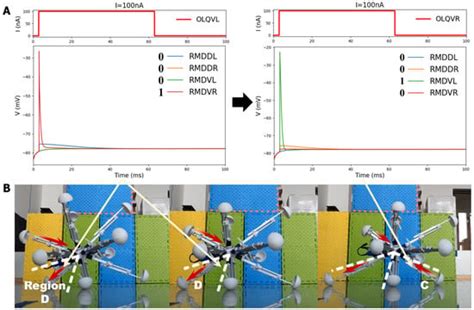 Biomimetics Special Issue Bio Inspired And Biomimetic Intelligence In Robotics