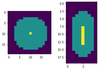 Skeletonize D With Different Voxel Size Issue Scikit Image Scikit Image GitHub