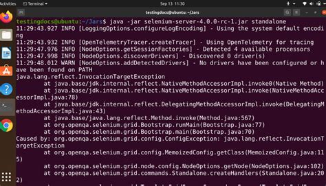 selenium grid