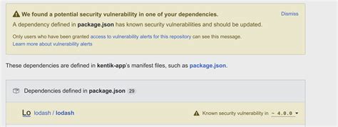 fix lodash vulnerability in package json · issue 53 · grafana kentik