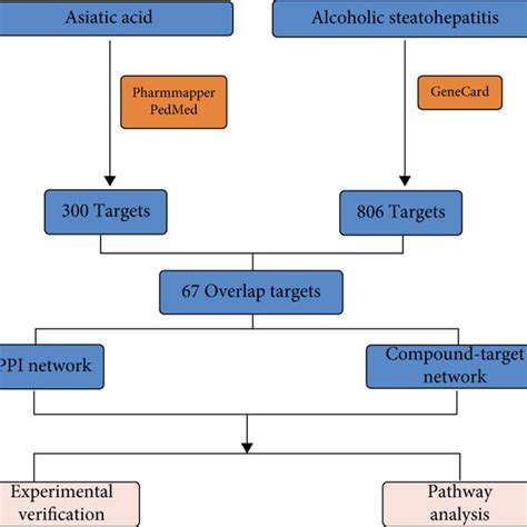 A Cytoscape Treated Protein Interaction Network B The Top Ten Download Scientific Diagram