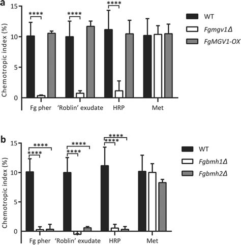 Elements Of And Or Associated With The Cwi Mapk Pathway Are Involved In