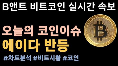 비트코인실시간 113 에이다 반등 알트코인 순환 중 비트코인 비트코인실시간 리플 이더리움 코인방송 Youtube