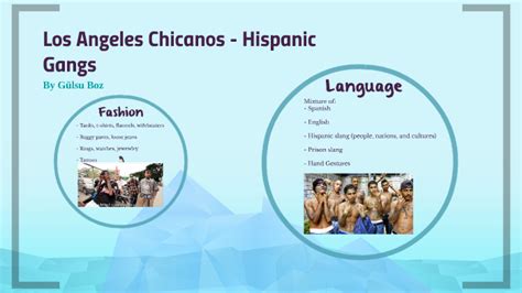 Los Angeles Chicanos Hispanic Gangs By Gülsu Boz On Prezi