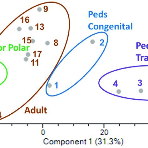 principal component analysis plot demonstrating clustering according to