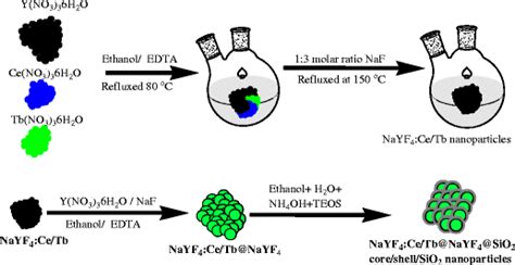 schematic diagram showing the synthesis process of core core shell and