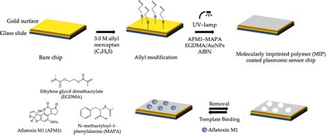 Figure 1 From Development Of Gold Nanoparticles Decorated Molecularly Imprinted Based Plasmonic