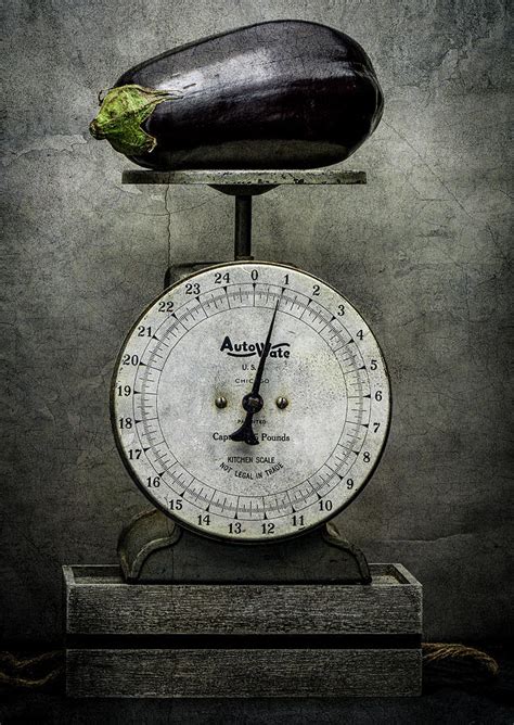 Auto Wate Scale Photograph By Carol Ward Pixels