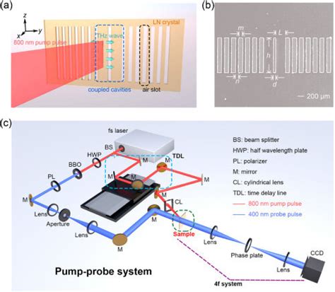 depiction of the samples used in the experiment and the experimental