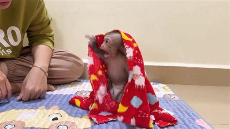 Extremly Playful Linda Hide Seek With Mom YouTube