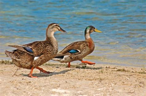 Think Before You Have Sex Outside Of Marriage Hubpages Think Before You Have Sex Outside Of Marriage Hubpages