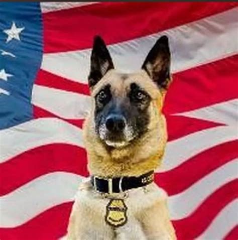 18 Bico Tablets Used For Pics Mecobalamin Er Tablets