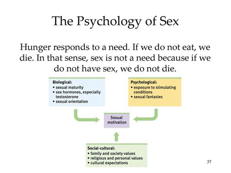 Motivation Ppt Download