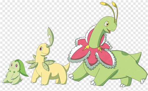 Evoluzione Chikorita Pokemon Chikorita Bayleef Meganium Evolution