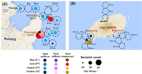 Distribution Of Indicator Bacteria A Total Coliform Fecal Coliforms