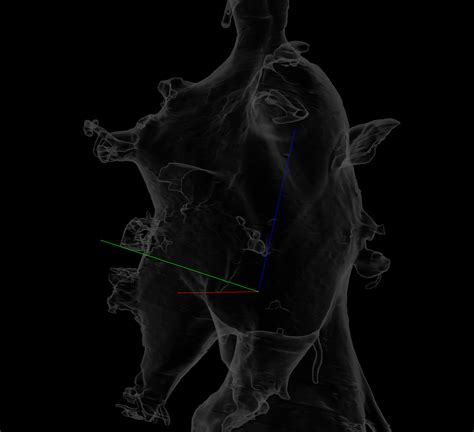 Video Tool Does Not Respect ShowAxisLines Issue Google Neuroglancer GitHub