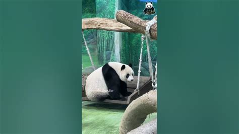 241016仔仔吃胡蘿蔔🥕超棒 ️🥰 ️ Youtube