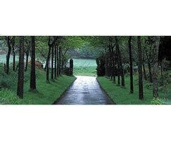 CellWeb TRP Tree Root Protection System Geosynthetics ESI External Works