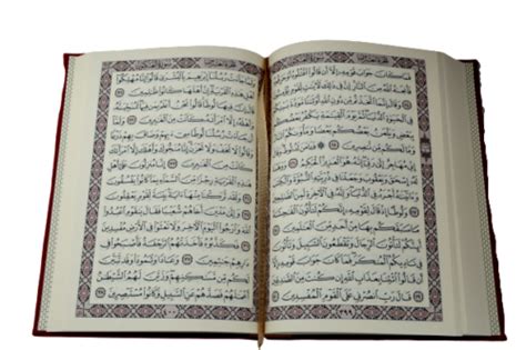 Tajweed Tajwied Al-Quran – Tiggaz