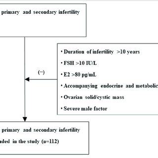 Flow Chart Of The Study Download Scientific Diagram