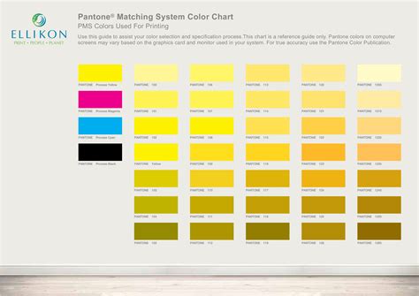 Pantone Color System