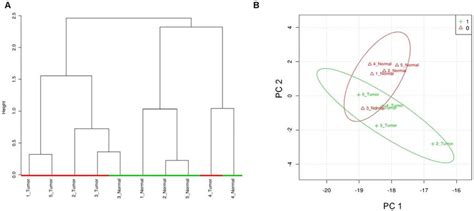 Supervised Phenotypic Distinction Of Samples A Hierarchical