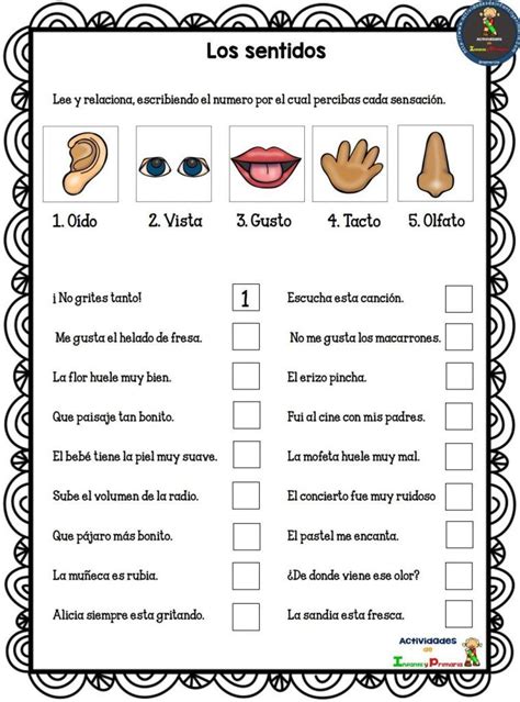 Los Esquemas Para Segundo Grado Los Sentidos