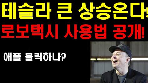 테슬라 큰 상승온다 드디어 로보택시 사용법 공개 엄청나다 오를수 밖에 없는 테슬라 애플의 위기가 오나 엔비디아 팔란티어 계속 간다 이란 이스라엘 잠시 숨고르기