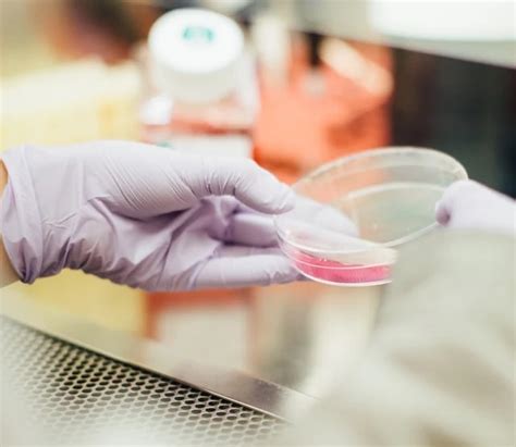 Sop For Passivation For Microbiology Lab Passivation Procedure