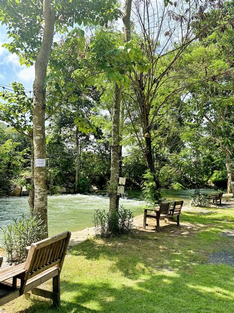 ไวน์แคมป์ Wine Camp ที่พักติดลำธาร สระบุรี แกลเลอรีที่โพสต์โดย Cher Lemon8