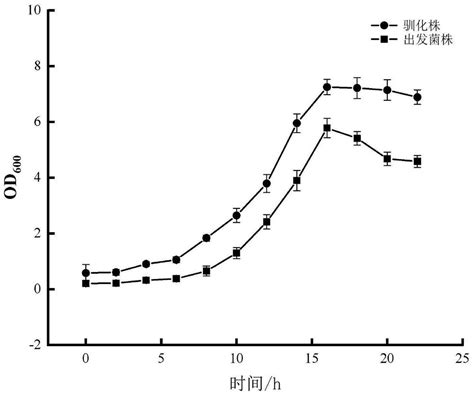Saccharomyces Cerevisiae And Application Thereof In Preparation Of Fermented Food Eureka Patsnap