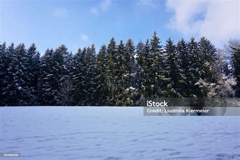 눈을 뚫고 숲으로 들어가는 길 숲으로 이어지는 눈 덮인 길을 걷습니다 겨울의 바이에른 눈 속에서 겨울에 바이에른 들판과 숲 가문비나무에 대한 스톡 사진 및 기타 이미지