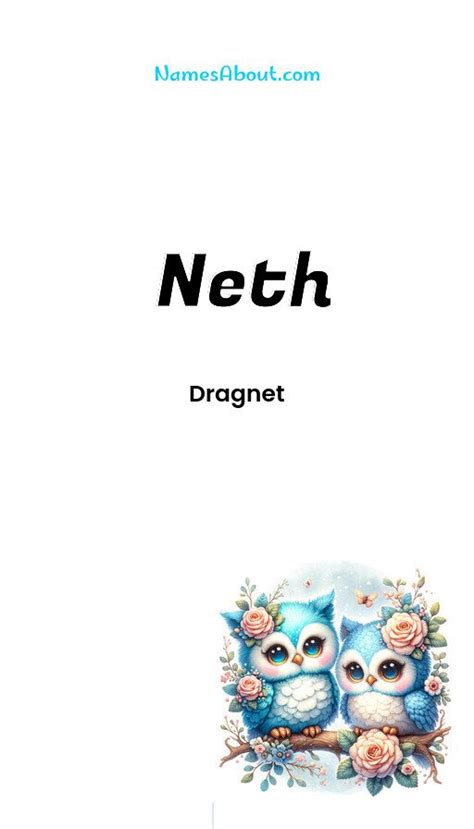 Neth Name Meaning And Origins Nicknames Sibling Ideas