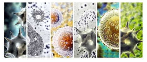 Collection Banners With Pathogenic Bacterias And Viruses 3d Virus