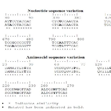 Comparison Of Lipase Gene And Aminoacid Sequences Of Pseudomonas Sp Download Scientific