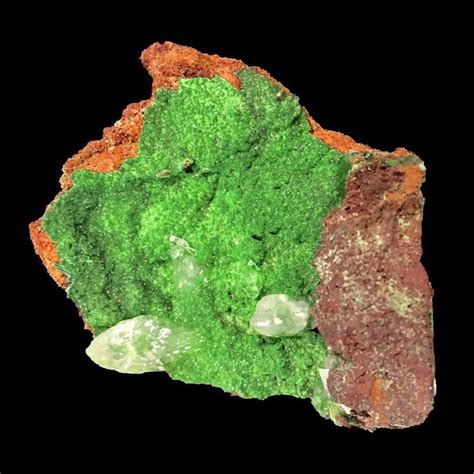 Conichalcite Prospector Minerals