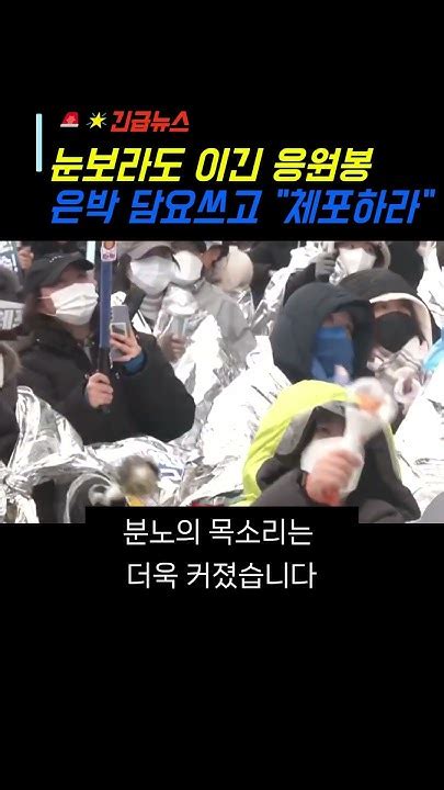 관저 앞으로 모였다 눈보라도 이긴 응원봉 은박 담요쓰고 윤석열을 체포하라 긴급뉴스 윤석열김건희 명태균 윤석열탄핵 뉴스 이슈 김건희특검 Youtube