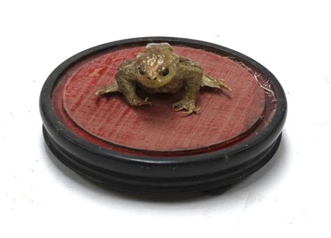 Sold Price Trevor The Toad February 2 0120 10 00 Am Gmt