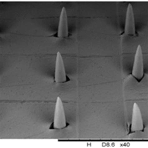 The Fabrication Of A Micro Needle Array And The Cell Transplantation Download Scientific