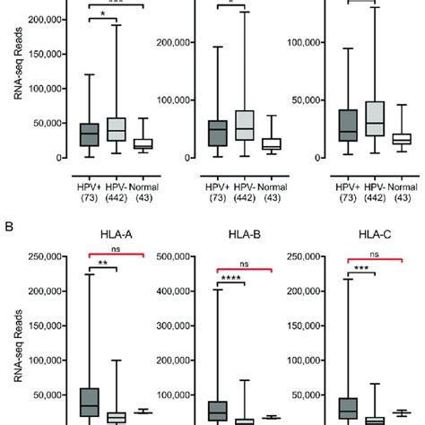 Expression Of Classical Major Histocompatibility Complex Class I Download Scientific Diagram