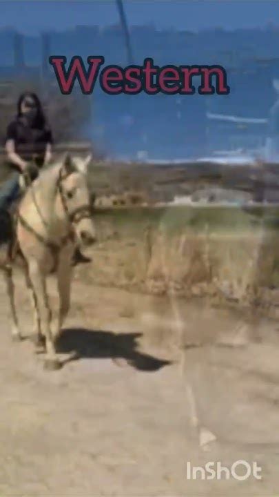 Wester Is 🔛🔝 Dance Fashion Photoshoot Model Photography Love Youtube