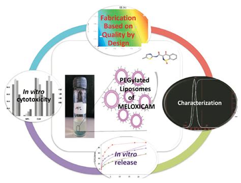 Editors Choice Pegylated Liposomes Of Meloxicam Optimization By Quality By Design In Vitro