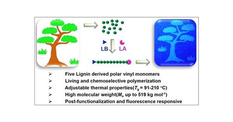 Living Controlled Polymerization Of Renewable Lignin Based Monomers By
